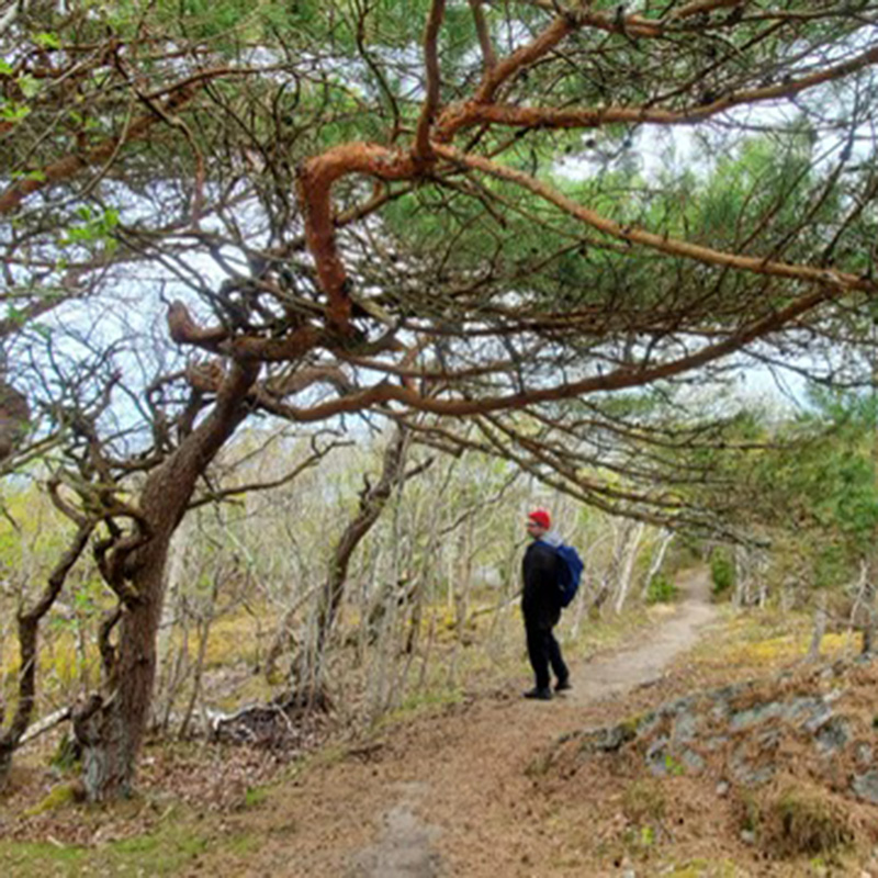 Joshua hiking in Sweden.